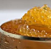 Linda's Gourmet Latkes